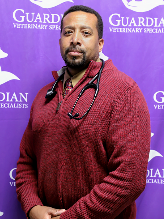 Our Team - https://guardianveterinaryspecialists.com