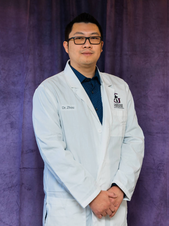 Our Team - https://guardianveterinaryspecialists.com