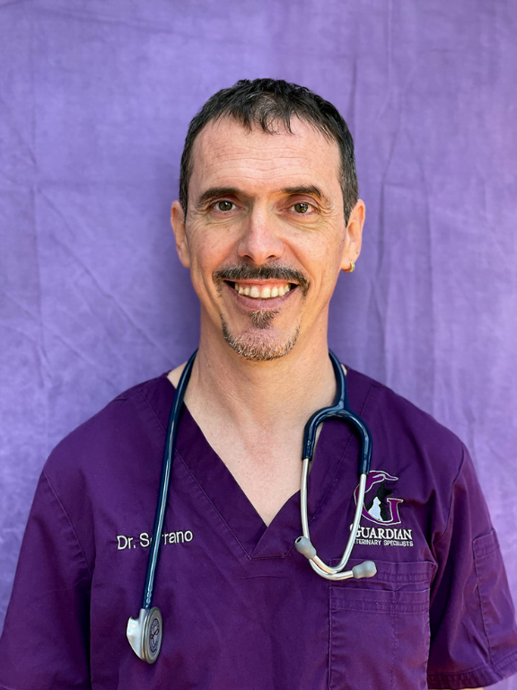 Our Team - https://guardianveterinaryspecialists.com