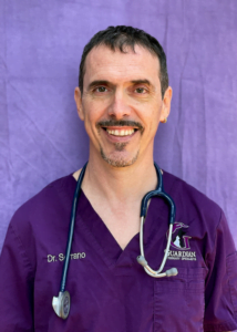 Sergio Serrano, LV, DVM, DACVECC - https://guardianveterinaryspecialists.com