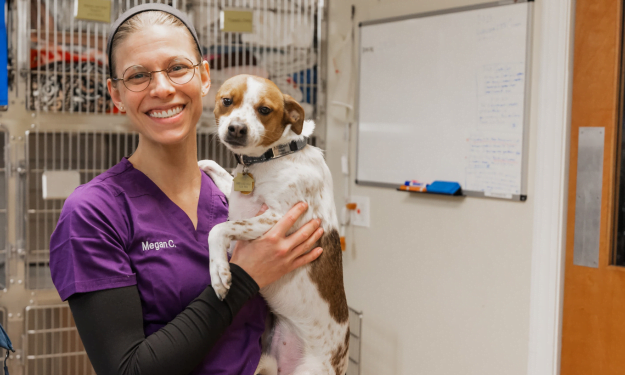 Careers - https://guardianveterinaryspecialists.com