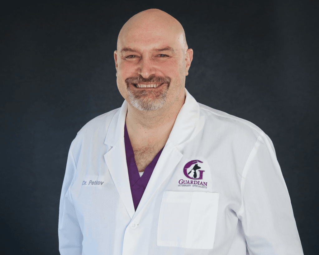 Our Team - Guardian Veterinary Specialists