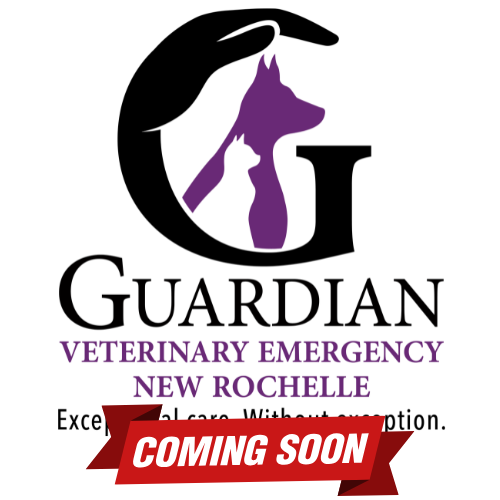 Our Locations – Guardian Veterinary Specialists