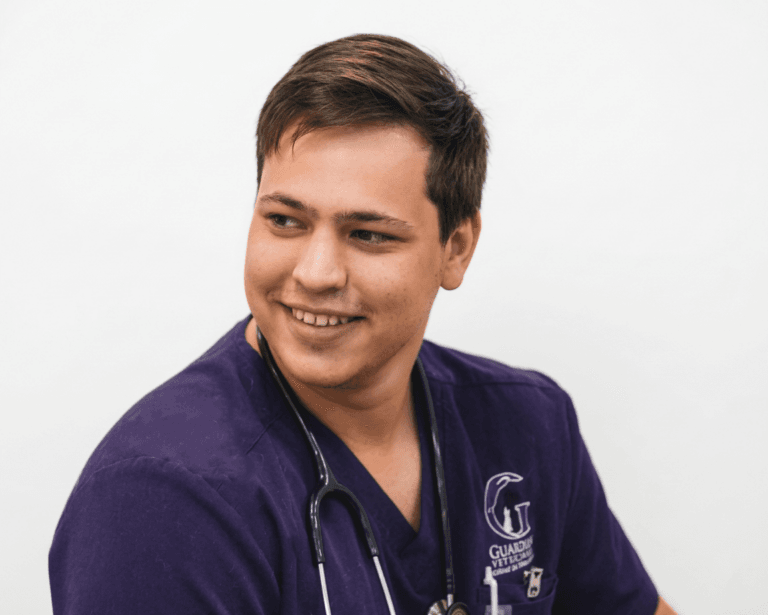 Our Team – Guardian Veterinary Specialists